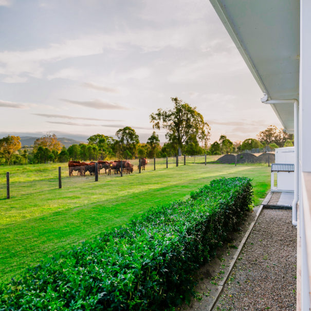 Gallery - The Bluff Farm Stay Cainbable Queensland